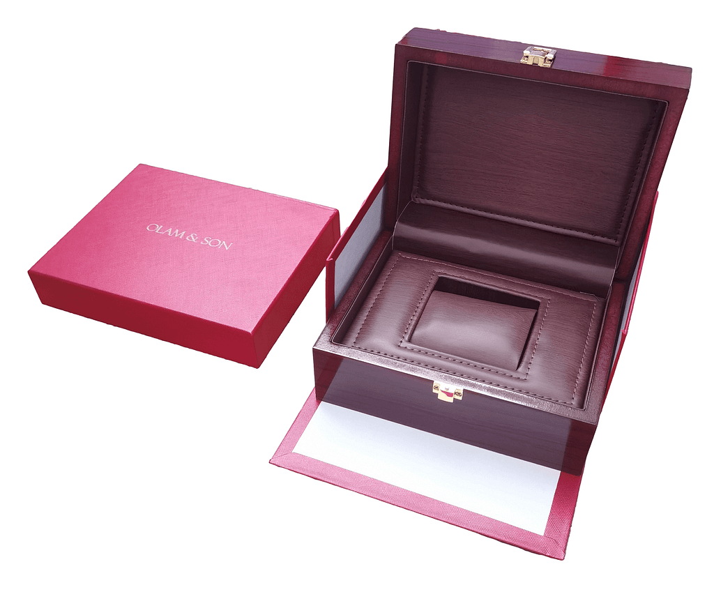 Tips for caring for your luxury watch - Olam & Son Watches | Timeless ...